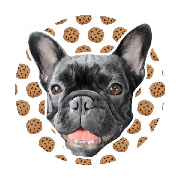 Cookie The Frenchie on Direct.me