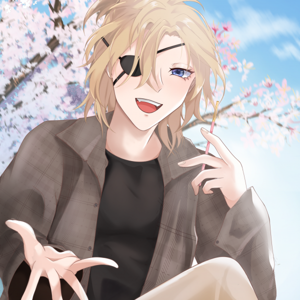 Tako on Direct.me