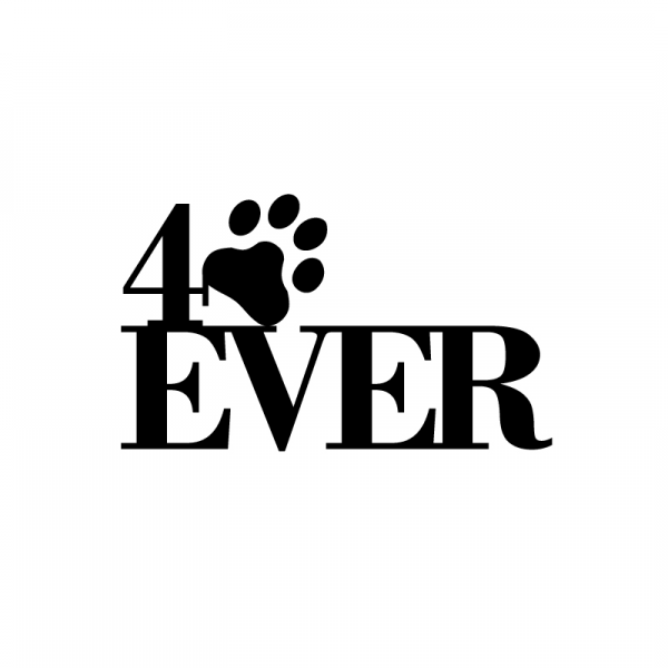 4Ever Puppy Dog Collars & More on Direct.me