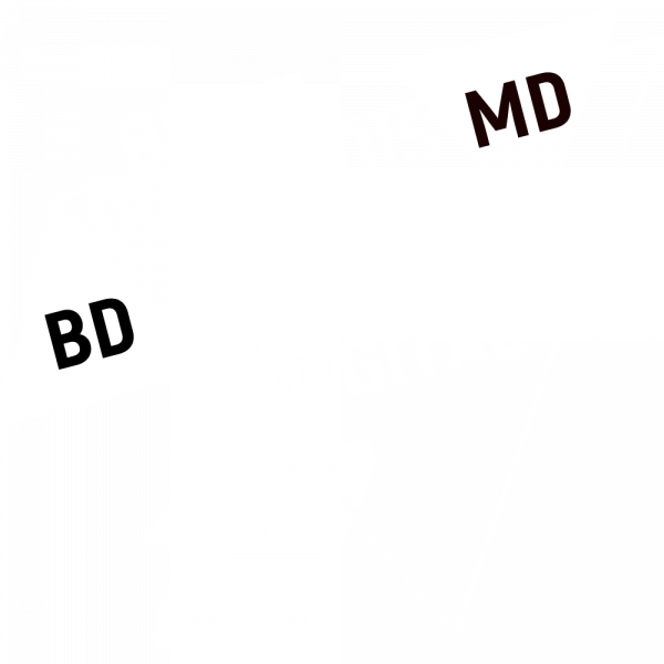 BRICE DUMANOIS MARKETING DIGITAL (BDMD)