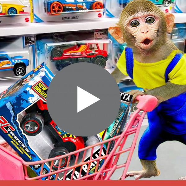 viral video on Direct.me