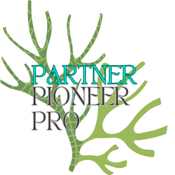 PARTNER PIONEER PRO on Direct.me