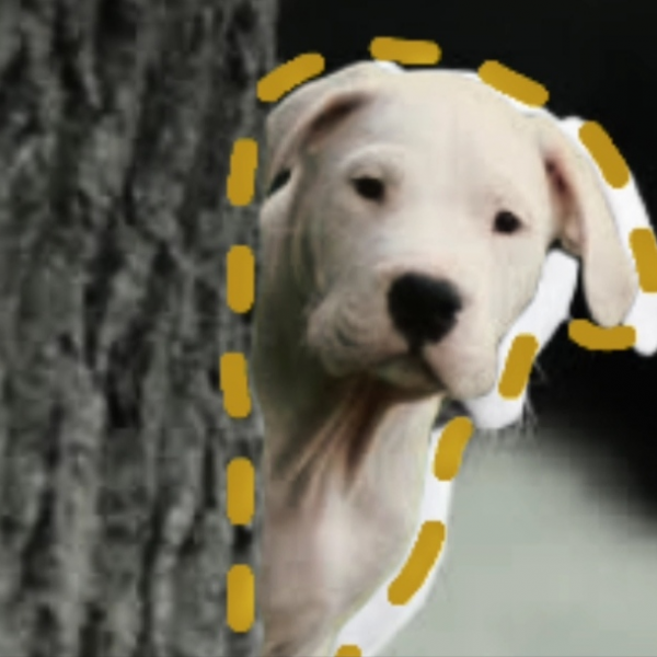 Dogs Training Whiz on Direct.me