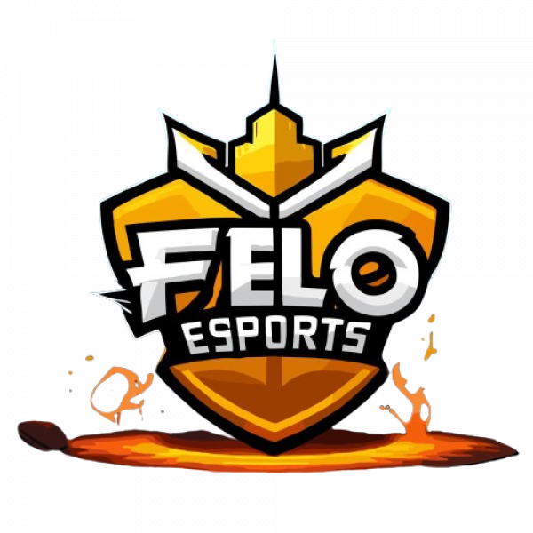 FELO ESPORTS on Direct.me