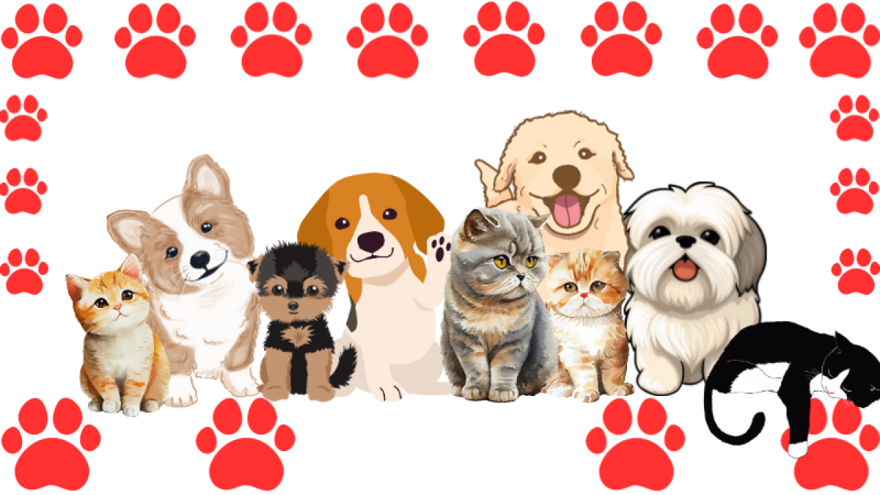 Pets Pin on Direct.me